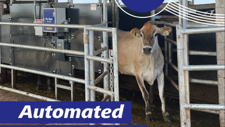 Catalogs | Tru-Test Datamars