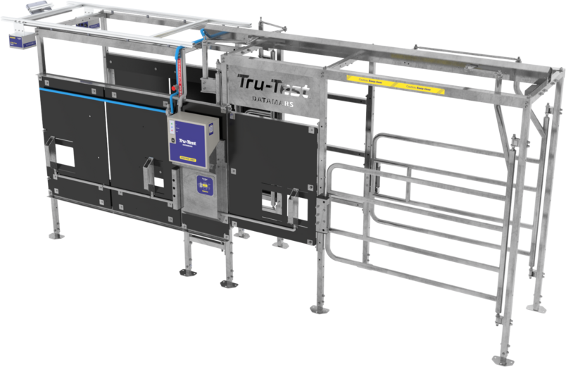 Dairy Sort Gate | Tru-Test Datamars